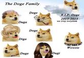 No. | Doge | Know Your Meme