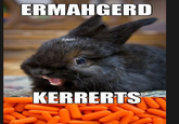 [Image - 275943] | Ermahgerd | Know Your Meme