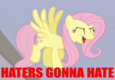 Haters gon' hate | My Little Pony: Friendship is Magic | Know Your Meme