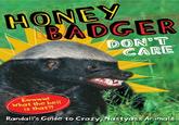 [Image - 734393] | Honey Badger | Know Your Meme