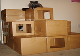 tiered forts | Cat Fort | Know Your Meme