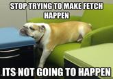 [Image - 768924] | Stop Trying to Make Fetch Happen | Know Your Meme