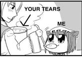 [Image - 708836] | Your Tears are Delicious | Know Your Meme