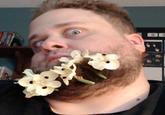 [Image - 794200] | Flower Beards | Know Your Meme