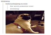 Good fish...dog? Fish dog by itsunknownanon | Pokémon | Know Your Meme
