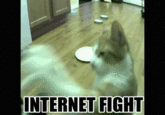 [Image - 580439] | Internet Fight | Know Your Meme