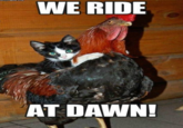 At Dawn We Ride | Know Your Meme