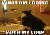 What Am I Doing With My Life? | Know Your Meme