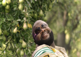 [Image - 878749] | Rick Ross Pears | Know Your Meme
