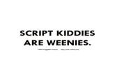 Script Kiddie | Know Your Meme