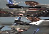 Raiden amie | Metal Gear Rising: Revengeance | Know Your Meme