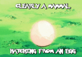 Pokemon Leaf at the Beach | Pokémon | Know Your Meme