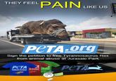 It is safe to say PETA operates like a cult against non-believers more ...
