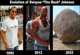 Maui | Dwayne "The Rock" Johnson | Know Your Meme
