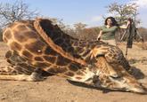 Trophy Hunting Controversies | Know Your Meme