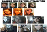 Transgender Transitions | Transgender Transition Timelines | Know Your Meme