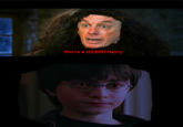 [Image - 117392] | You're a Wizard, Harry! | Know Your Meme