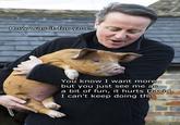 David Cameron on Peppa Pig | PigGate / Hameron | Know Your Meme