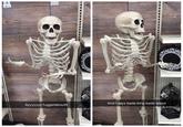 Skeleton vs Wall of Text | Skeletons | Know Your Meme