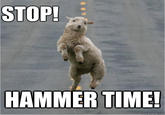 Hammer Time | Hammer Time / U Can't Touch This | Know Your Meme