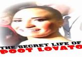 It's a trap! | Poot Lovato | Know Your Meme