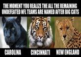nfl | NFL / American Football | Know Your Meme