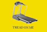 DONT TREAD ON CAT | Gadsden Flag / Don't Tread On Me | Know Your Meme