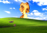 [Image - 735058] | Windows XP Bliss Wallpaper | Know Your Meme