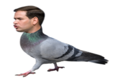 Marco Rubio and His Big Ears | Little Marco | Know Your Meme