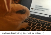 Original Image | Henlo | Know Your Meme