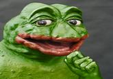 [Image - 822703] | Smug Frog | Know Your Meme