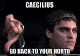 and-now-the-people-that-really-matter-hail-caecilius-cambridge-latin