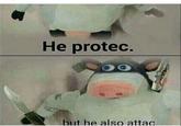 She useless | He Protec but He Also Attac | Know Your Meme