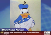 Powerboner | Donald Duck Boner | Know Your Meme