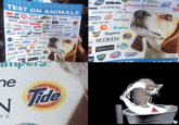 How dare dog food companies test on animals | These Companies Test On ...