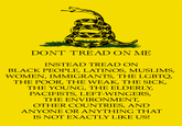 DONT TREAD ON CAT | Gadsden Flag / Don't Tread On Me | Know Your Meme