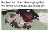 Litten prefers to be alone | Pokémon Sun and Moon | Know Your Meme