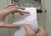 The Great Toilet Paper Debate | Know Your Meme