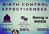Birth Control Effectiveness | Know Your Meme