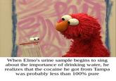 Elmo's Mistake | Bertstrips | Know Your Meme