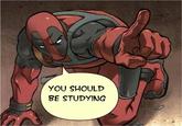 You Should Be Studying | Know Your Meme