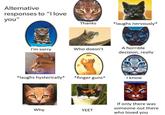 Template | Alternative Responses to "I Love You" | Know Your Meme