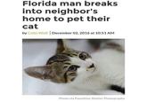 Florida man stops to pet cats | Florida Man | Know Your Meme