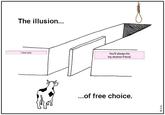 Left or Right | The Illusion of Free Choice | Know Your Meme