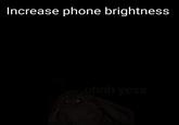 Circle game | Increase Phone Brightness | Know Your Meme