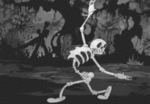 Car has a skull sculpted into it, gets made into meme | Skeletons ...