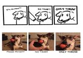 No Take Only Throw | No Take, Only Throw | Know Your Meme