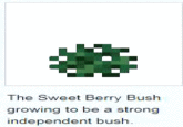 Minecraft | Know Your Meme