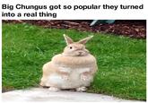 Big Chuniggus | Big Chungus | Know Your Meme
