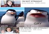 I'm Not Straight / Okay, Maybe I Am Straight | Know Your Meme